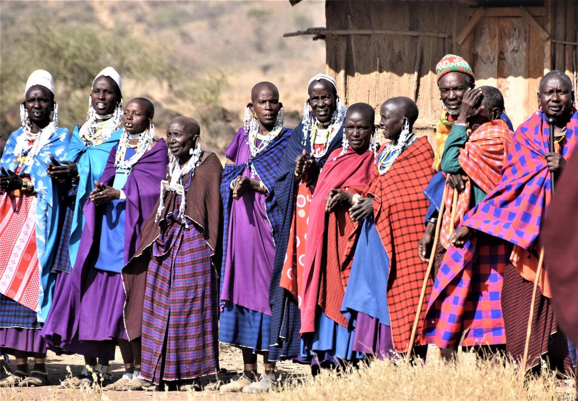 Home - Friends for African Development