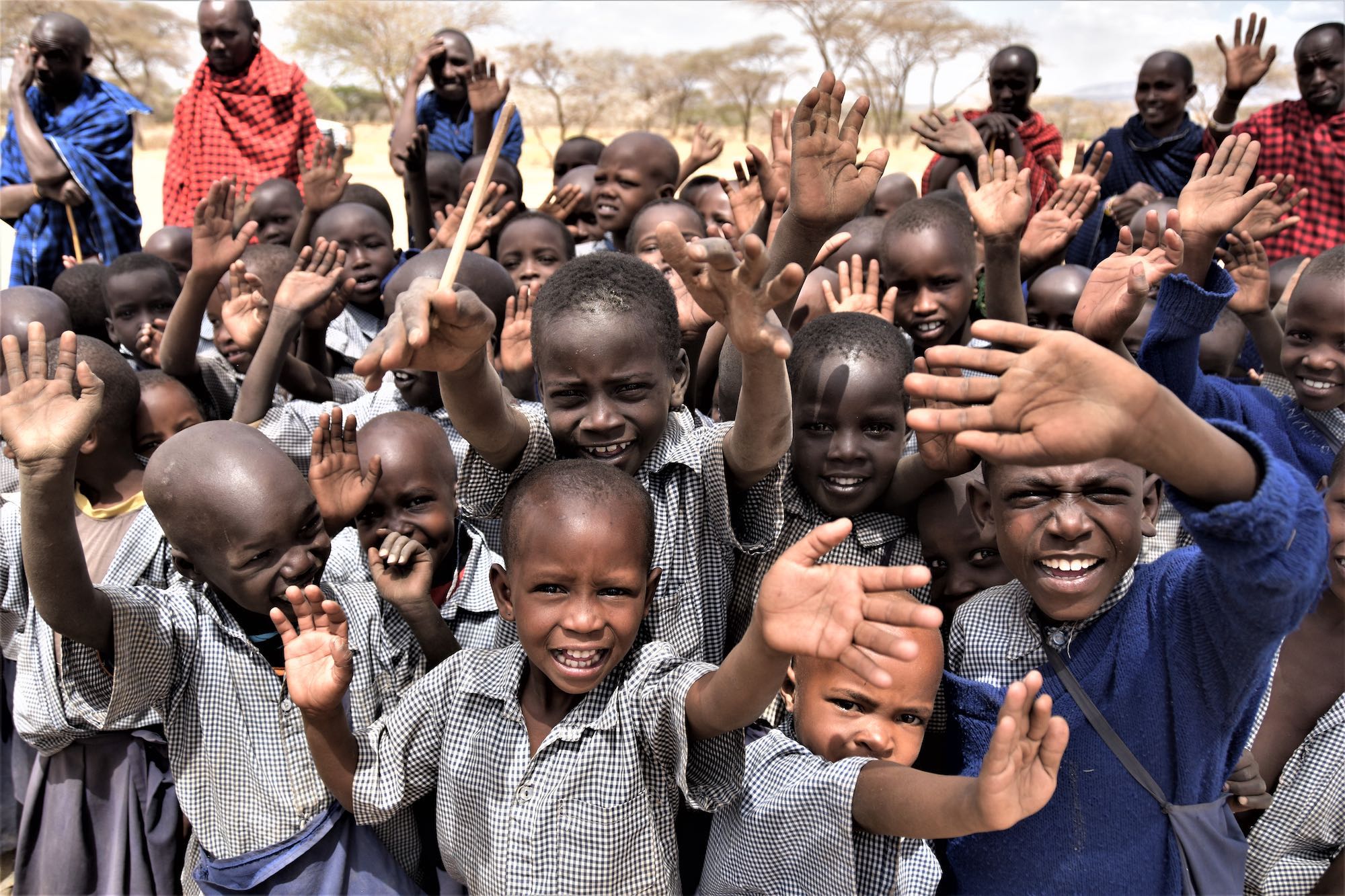 Home - Friends for African Development